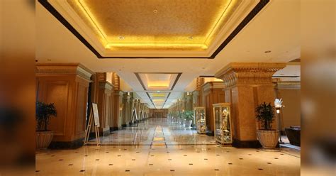 Roach Hotel Guest Demands Dh51000 In Compensation 6 Years After Staying In Room With Insects