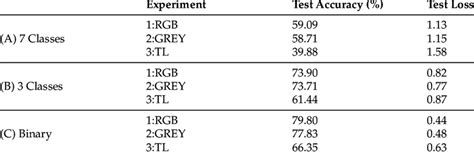 Testing Accuracy And Loss Values All Models Download Scientific
