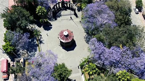 Visitación Melchor Ocampo Visitación Melchor Ocampo