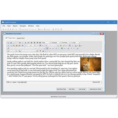 Tinymce Dataflex Wrapper