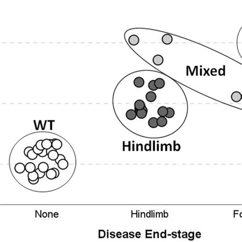 Als Phenotype Classification System Based On Pattern Of Limb Onset And