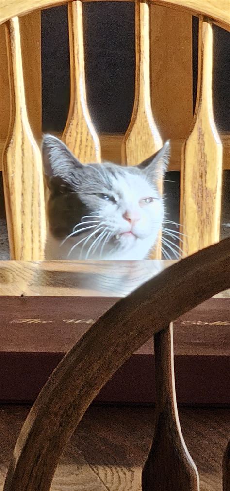 Angry White Woman Pointing Album On Imgur