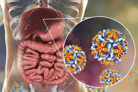 Hepatitis B Symptoms Causes And Treatment Us News