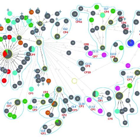 Minimum Spanning Phylogenetic Tree Based On The Cgsnv Analysis Of 246 Download Scientific