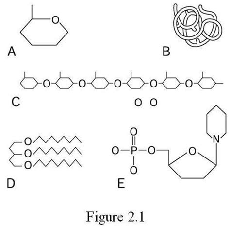 Functional Protein Diagram