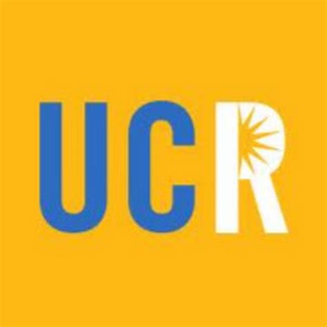 Laura Mcgeehan Youtube