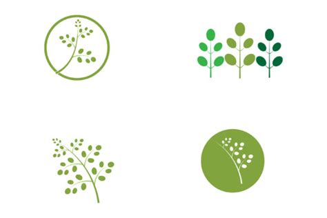 Moringa Leaf Logo Vector Design Graphic By Setiyowibowo10 · Creative Fabrica