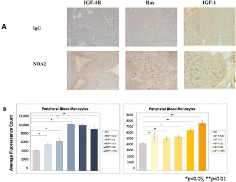 Figure 4 From Anti Cd99 Antibody Therapy Triggers Macrophage Dependent