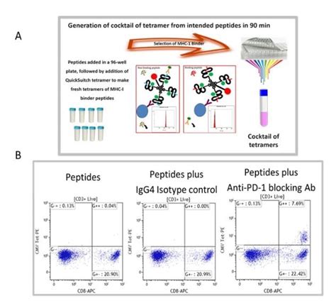 Is Your Drug Candidate Able To Reverse The T Cell Exhaustion Like State In Mbls In Vitro
