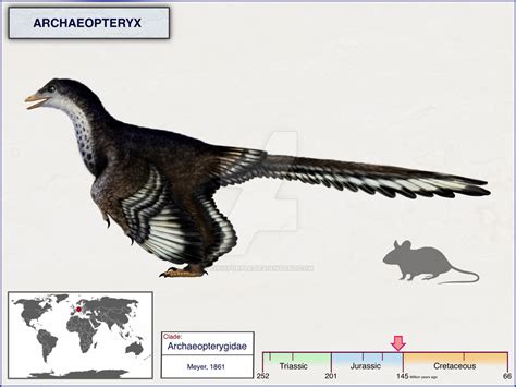 Archaeopteryx By Cisiopurple On Deviantart