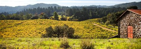 Jack London State Historic Park Tclf
