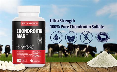 Chondroitin Sulfate 1 200mg 120 Capsules Triple Strength Relieves