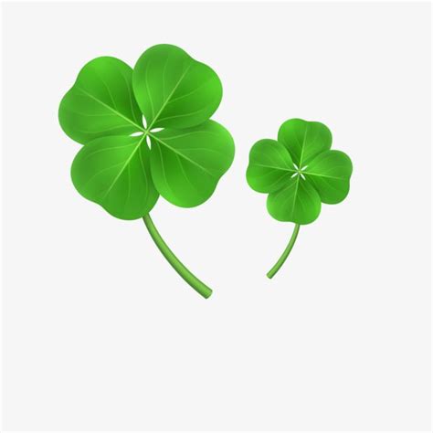 Vector Clover Lucky Grass Leaf Weed Png