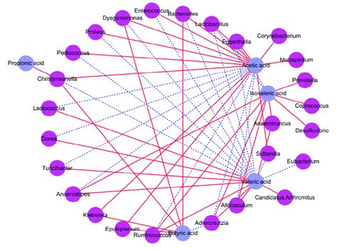 Correlation Analysis Between The Specific Compositional Features Of