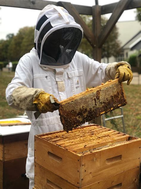 Apiterra Fabricationartisanale Andreea Florescu