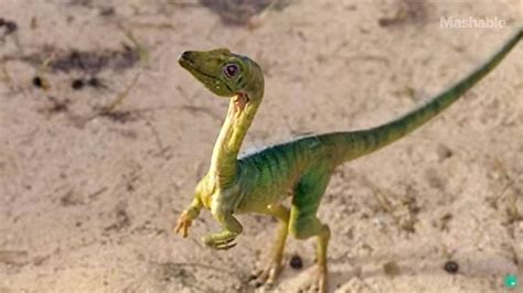 Compsognathus Jurassic Park