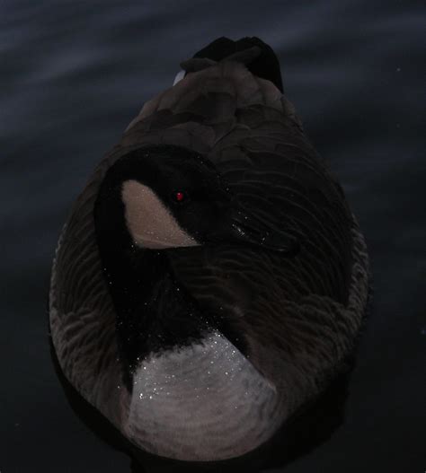 Devils Eye By Rike3 On Deviantart