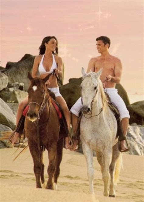 Pin By Evavica On  2 Horses Horse Love Horseback Riding