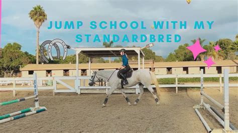 Small Jump School With My Standardbred Happy The Standie Youtube