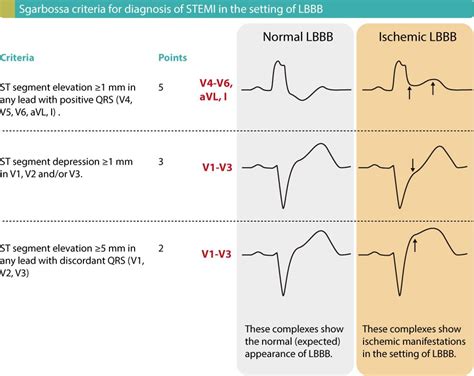 Pin On Cardiology