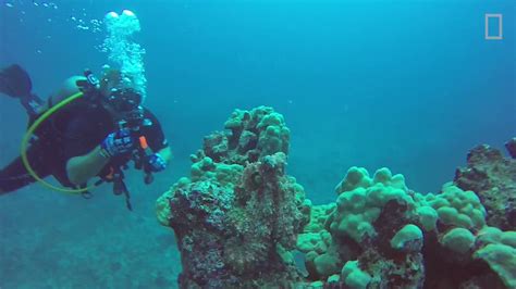 Anna Elliott Annaelliott Twitter