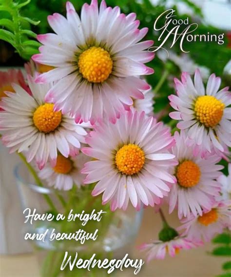 Have A Bright And Beautiful Wednesday Good Morning Pictures Photos