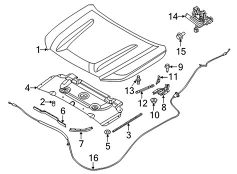 Hood And Components 2024 Nissan Frontier
