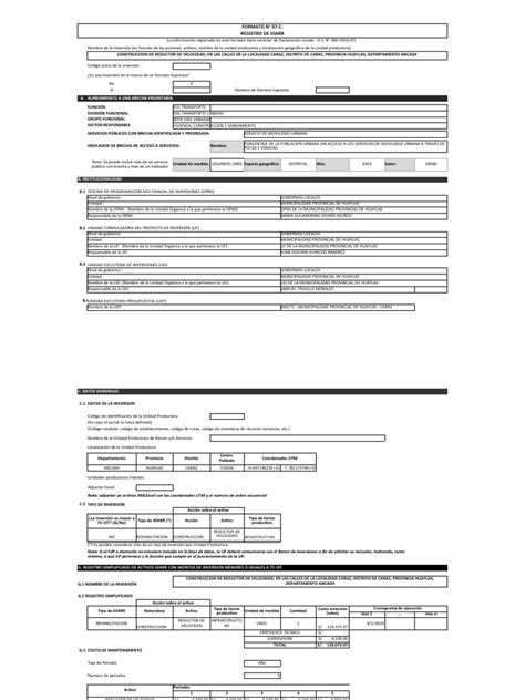 Formato7c Registro De Ioarr Gibas Pdf Gobierno Local Economias