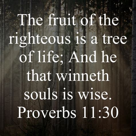 Proverbs 1130 The Fruit Of The Righteous Is A Tree Of Life And He