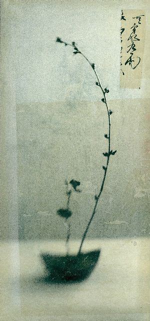 Adrien Boudreau Adrienboudreau Profile Pinterest