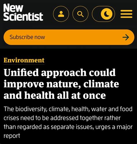 Nexusassessment Rebecca Becs Jarvis