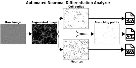 High Throughput · Github Topics · Github