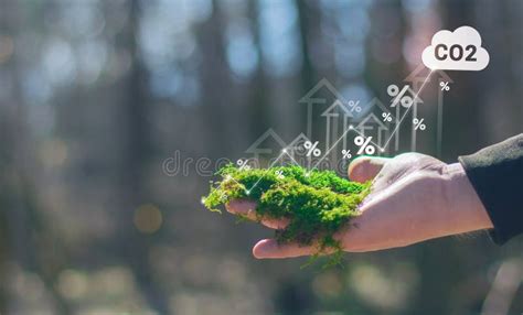 Carbon Dioxide Emissions Carbon Footprint Concept Co2 Reduce Concept