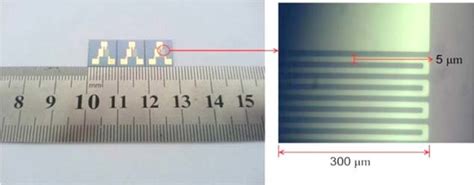 7 Photograph Of The Fabricated Gmr Sensor Download Scientific Diagram