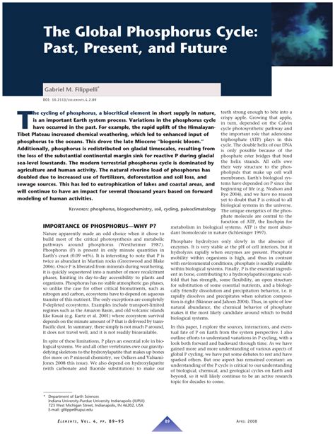 Pdf The Global Phosphorus Cycle Past Present And Future