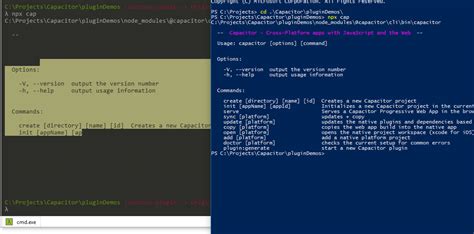 Windows Some Consoles Dont Display `npx Cap` Output · Issue 291