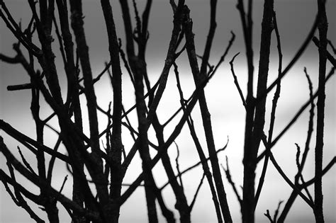 Mais De 20 000 Imagens Grátis De Tajeta Grafica E Gráfico Pixabay