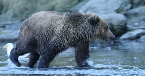 Wild Compass Photographic Adventure Tours