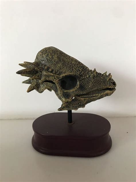 Pachycephalosaurus Dinosaur Skull Skeleton By Dinostoreus Dinosaurs