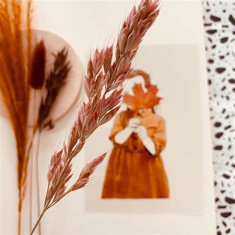 Tiny Bison Illustration Home Facebook