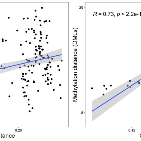 Epigenetic Divergence As A Linear Function Of Genetic Distance The X