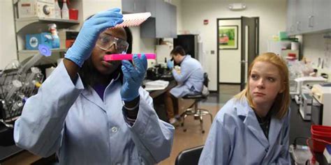 Tickcheck Tick Testing Laboratory Tick Testing Services For Lyme