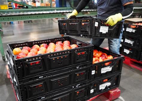 Multiple Factors Point To Continued Growth Of Reusable Packaging