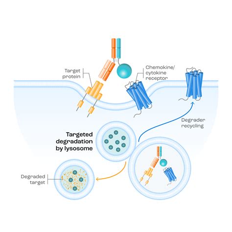 Our Science — Epibiologics