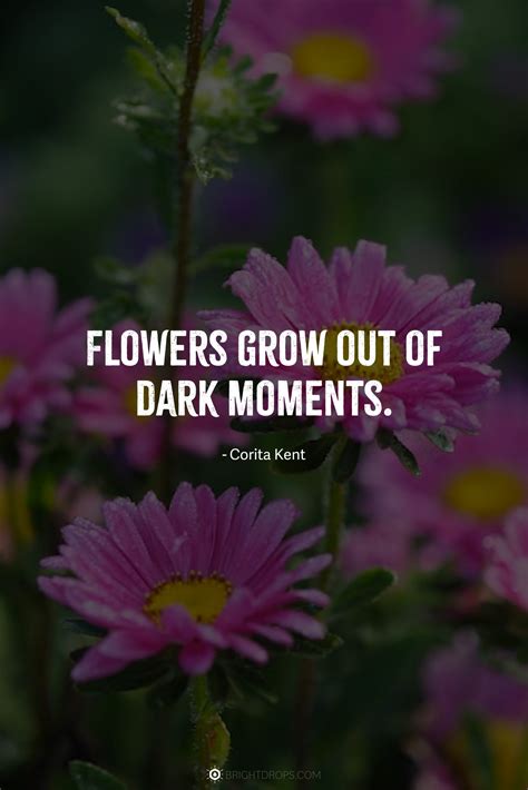 87 Short Flower Quotes With Photos Bright Drops