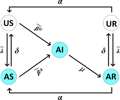 Schematic Diagram Of The Conversion Between All 5 States Download