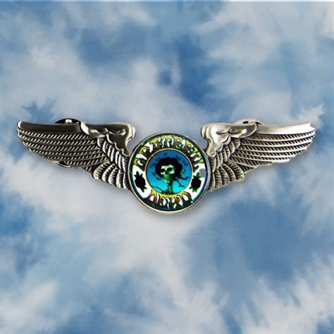 Grateful Dead Rock Wings Pilot Pins Edeadshop