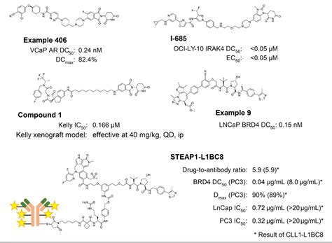 Figure 1 From E3 Ligase Ligands For Protacs How They Were Found And