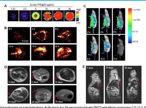 Figure 8 From Dual Targeted Gold Nanoprism For Recognition Of Early