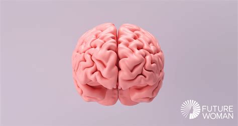 The Hpo Axis And Your Hormones Future Woman